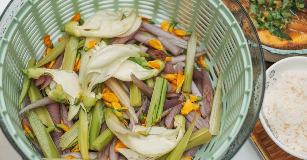 Que mange une tortue : guide complet pour bien nourrir votre reptile ...